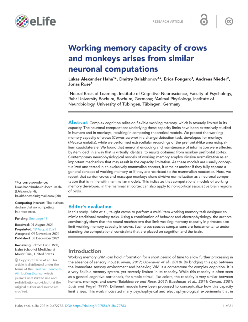 Working memory capacity of crows and monkeys arises from similar neuronal computations | Center ...