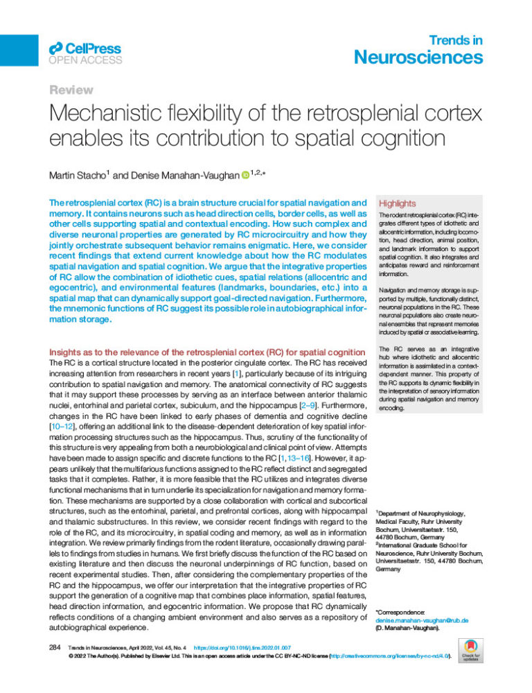 Mechanistic flexibility of the Retrosplenial Cortex enables its contribution to spatial ...